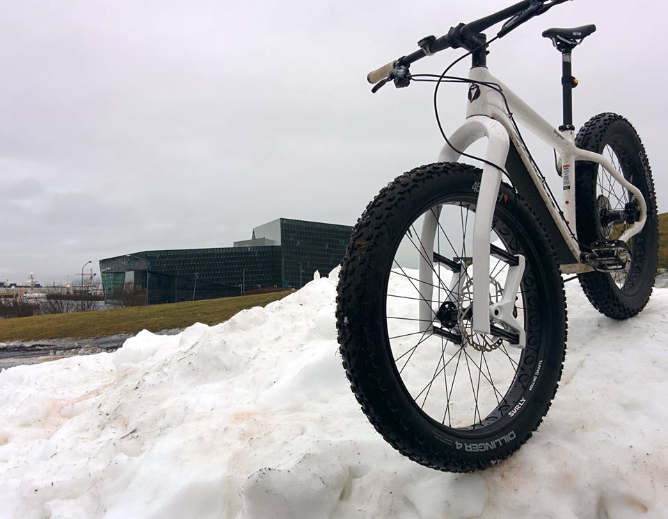 Fat Bike With Suspension Fork at Alice Duran blog